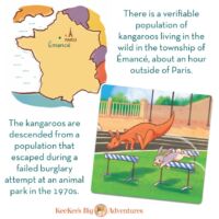 Fun Facts - Paris, France